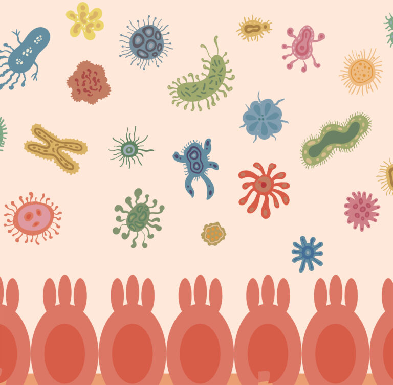 Gut Health and Acid Reflux: The Hidden Connection - Dr. Jamie Koufman